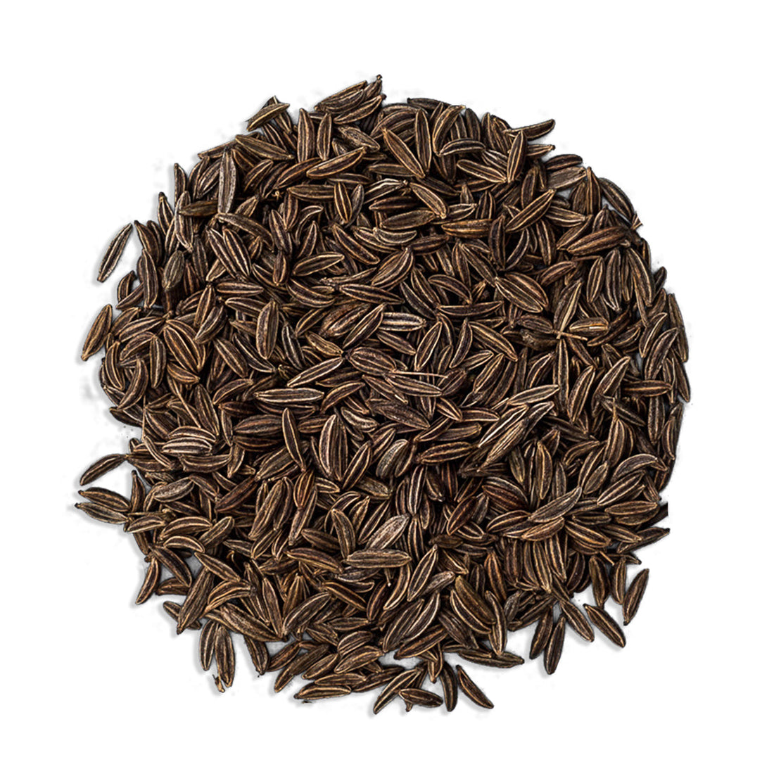 Caraway Seeds | Cotswold Ingredients – Cotswold Ingredients